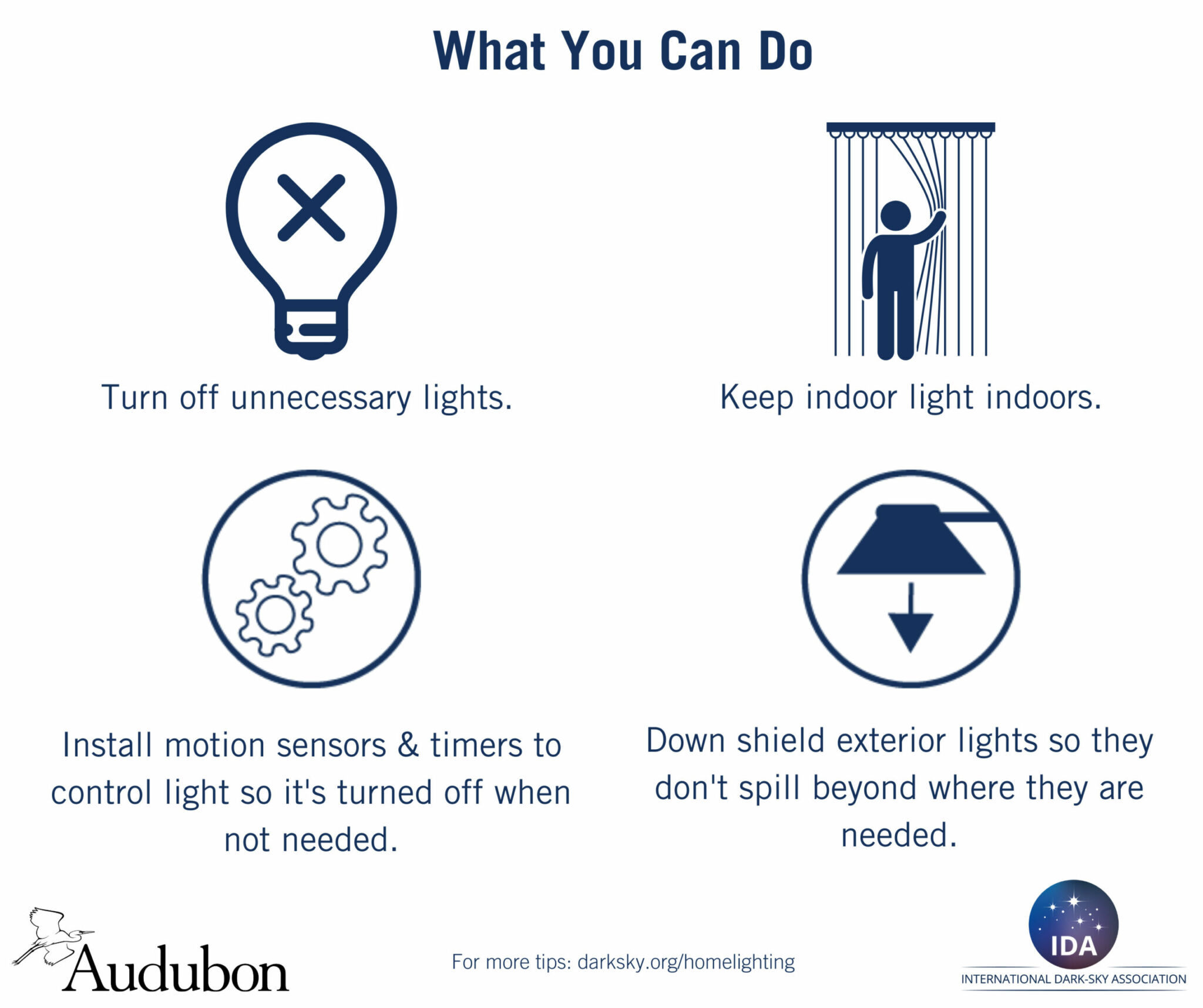 What You Should Know About Bird Migration and Light Pollution | DarkSky ...