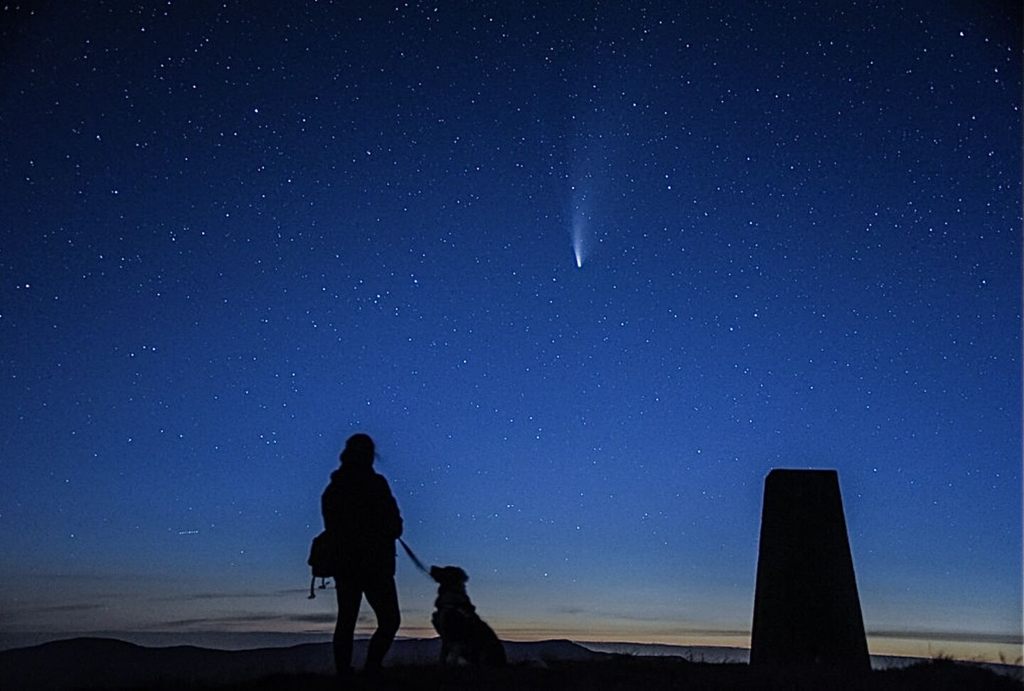 10 Stellar Photos of Dogs and the Night Sky | DarkSky International