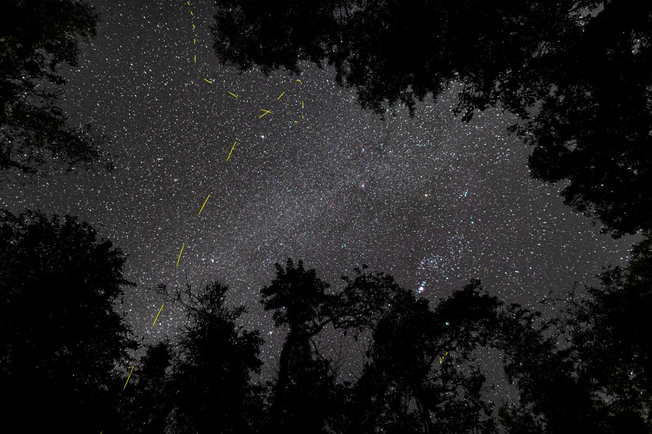 In Search of the Stars: An Artistic Collaboration Between Two Dark Sky ...
