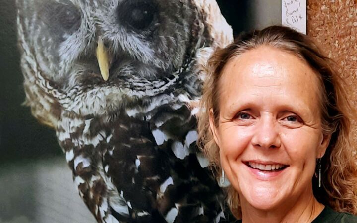 Q&A with DarkSky Advocate DeAnn Gregory from Kansas City, USA | DarkSky ...