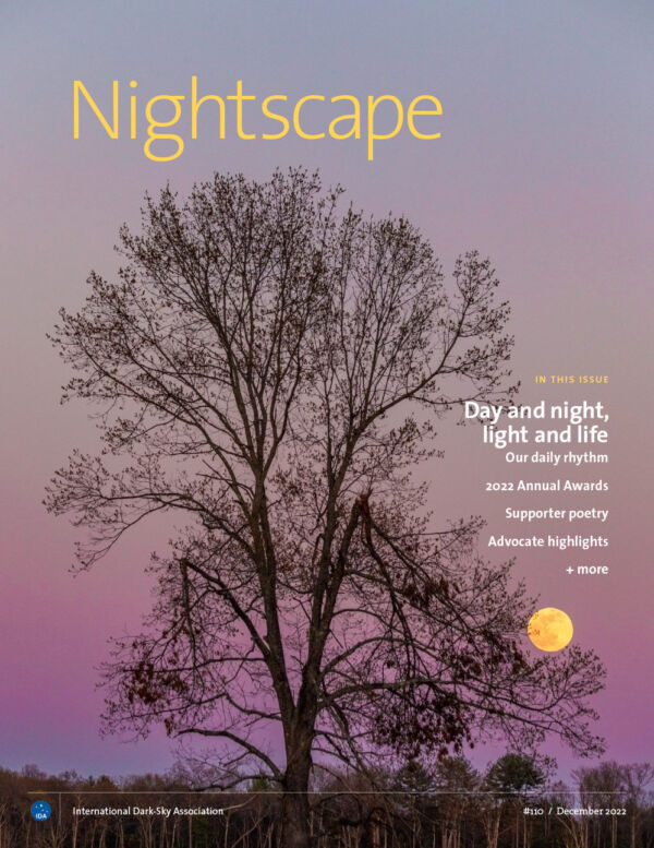 Nightscape #110 · December 2022 | DarkSky International