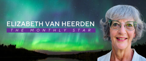 Elizabeth van Heerden: A personal journey through an IDSP application ...