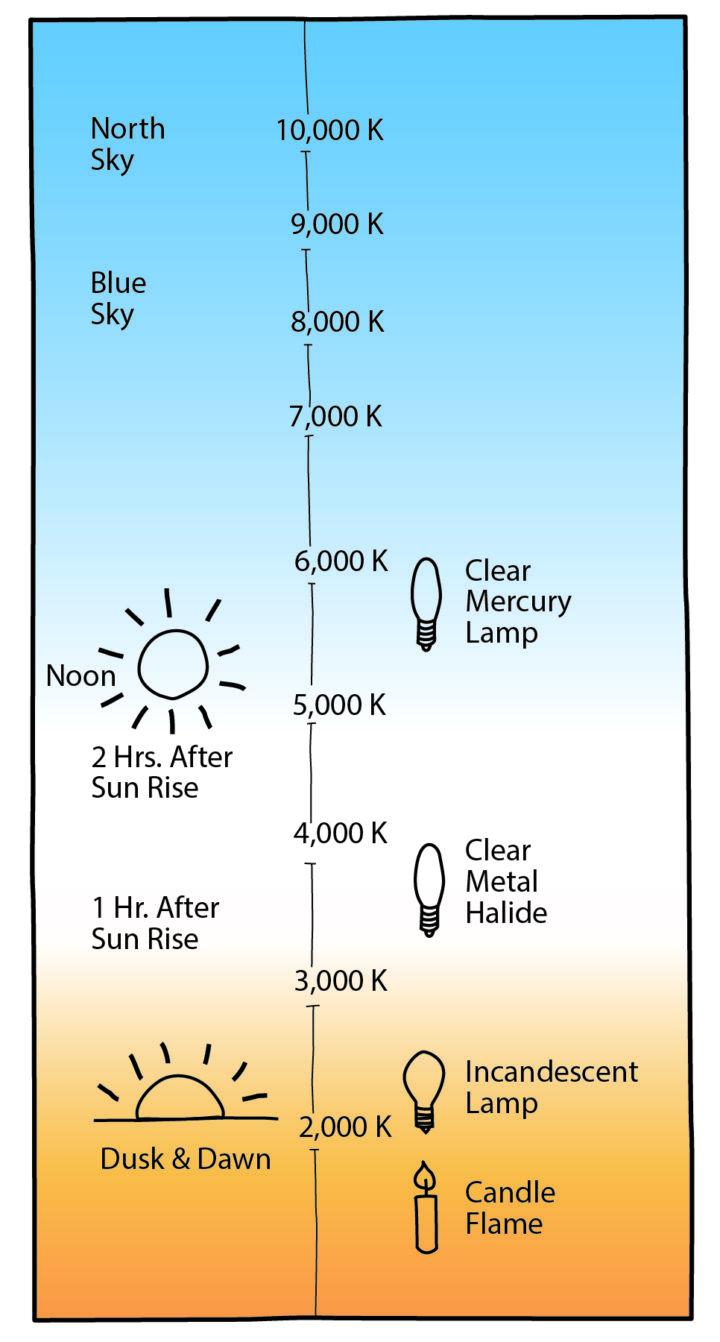Light pollution affects human health | DarkSky International