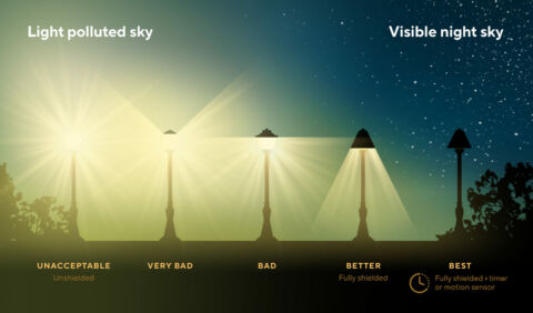 What is light pollution? | DarkSky International