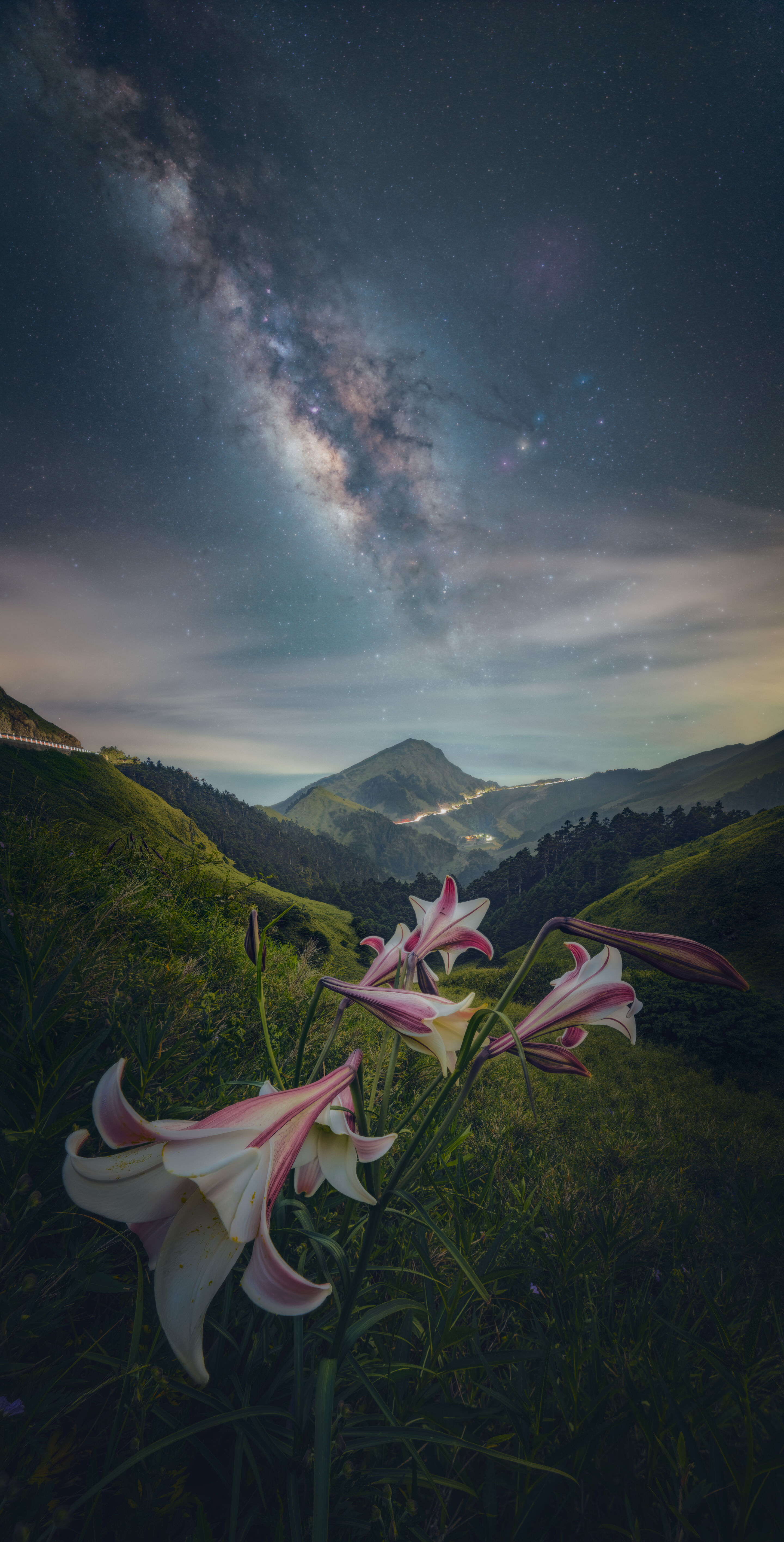 2023 Capture the Dark winners