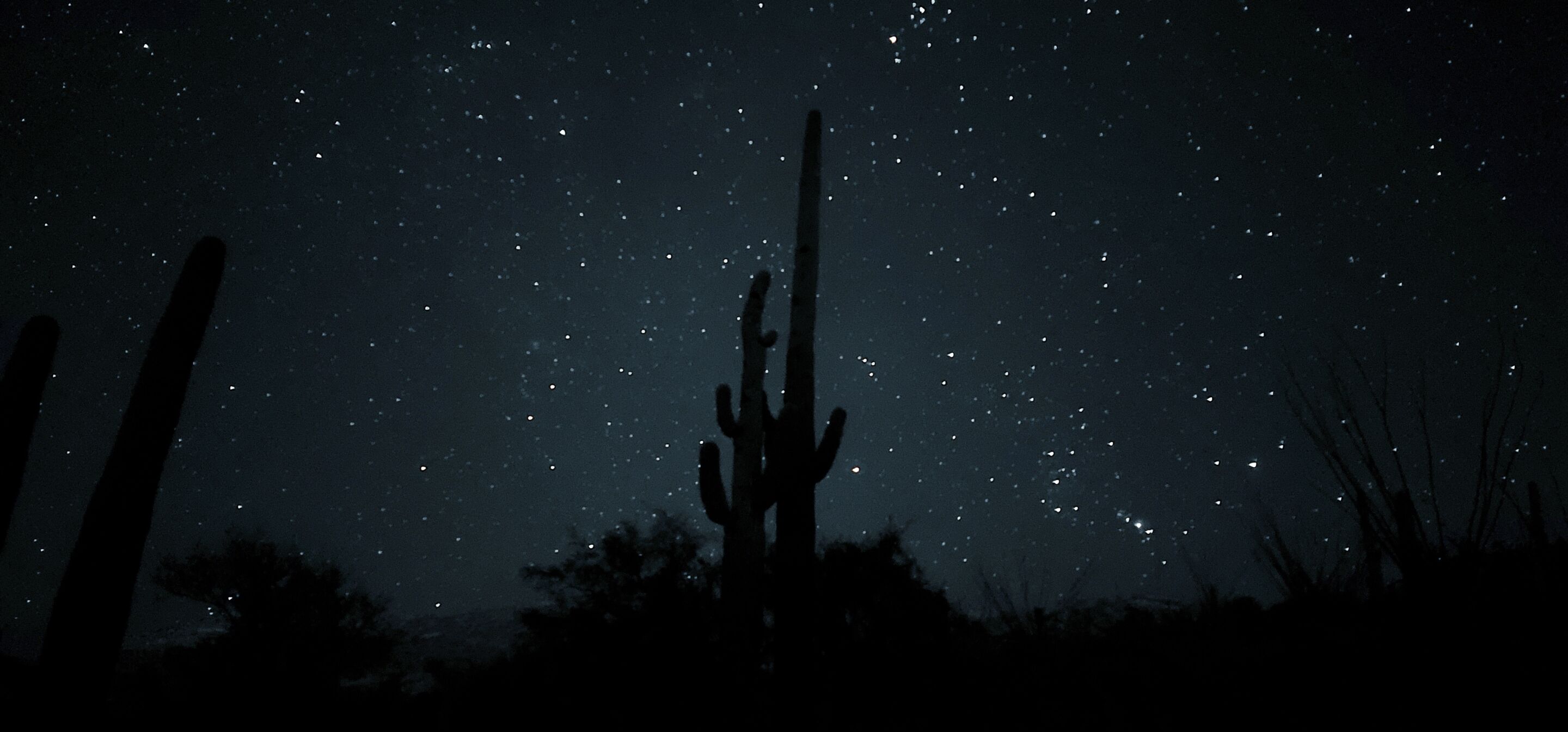 Saguaro National Park becomes world’s ninth Urban Night Sky Place ...