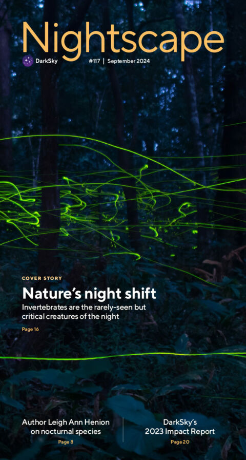 Nightscape | DarkSky International