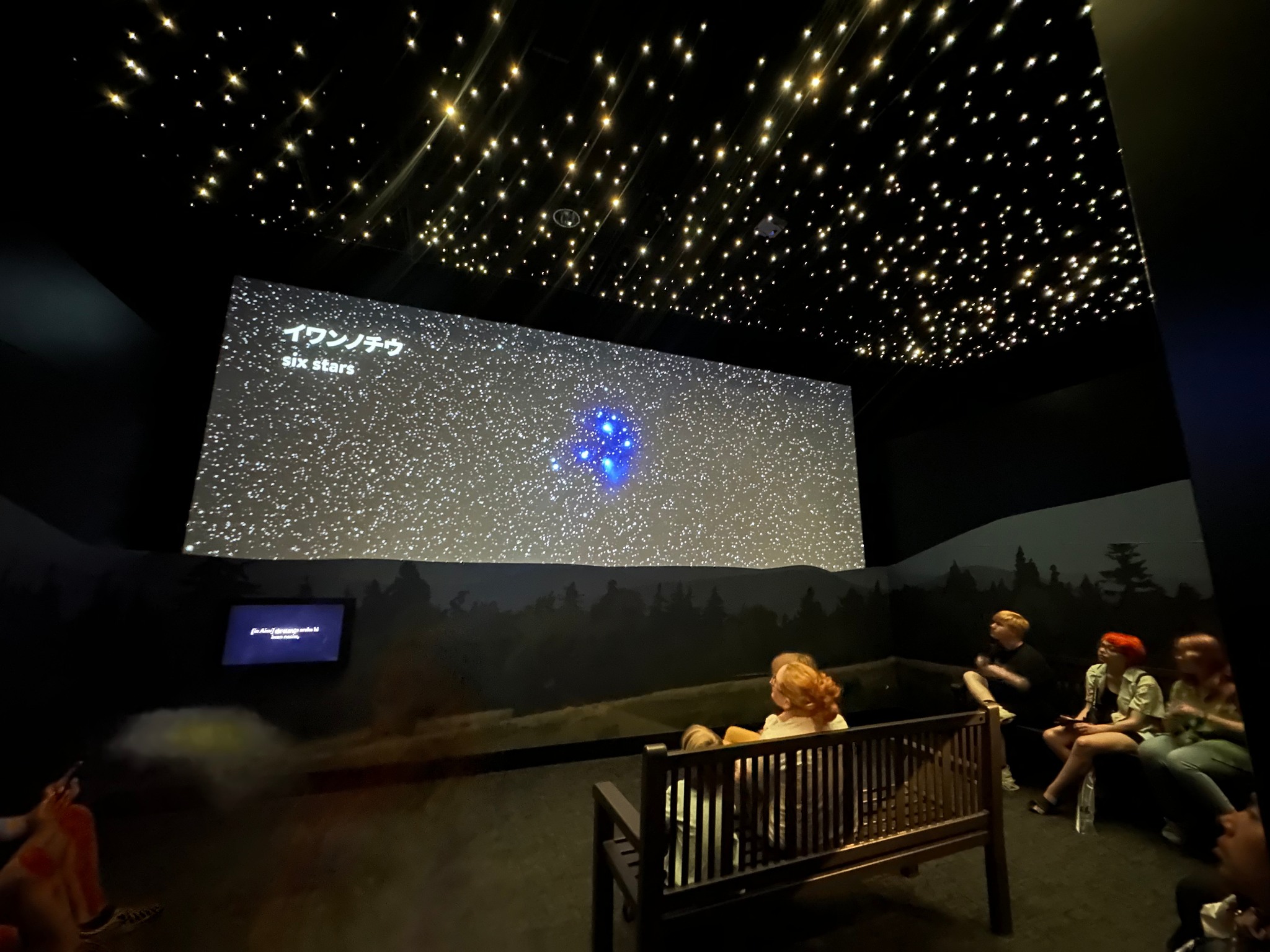 A Walk Through the Lights Out Exhibit | DarkSky International