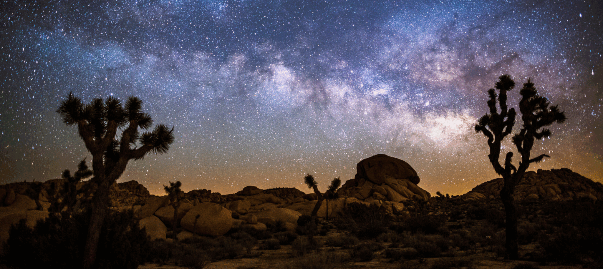 Effects of light pollution | DarkSky International