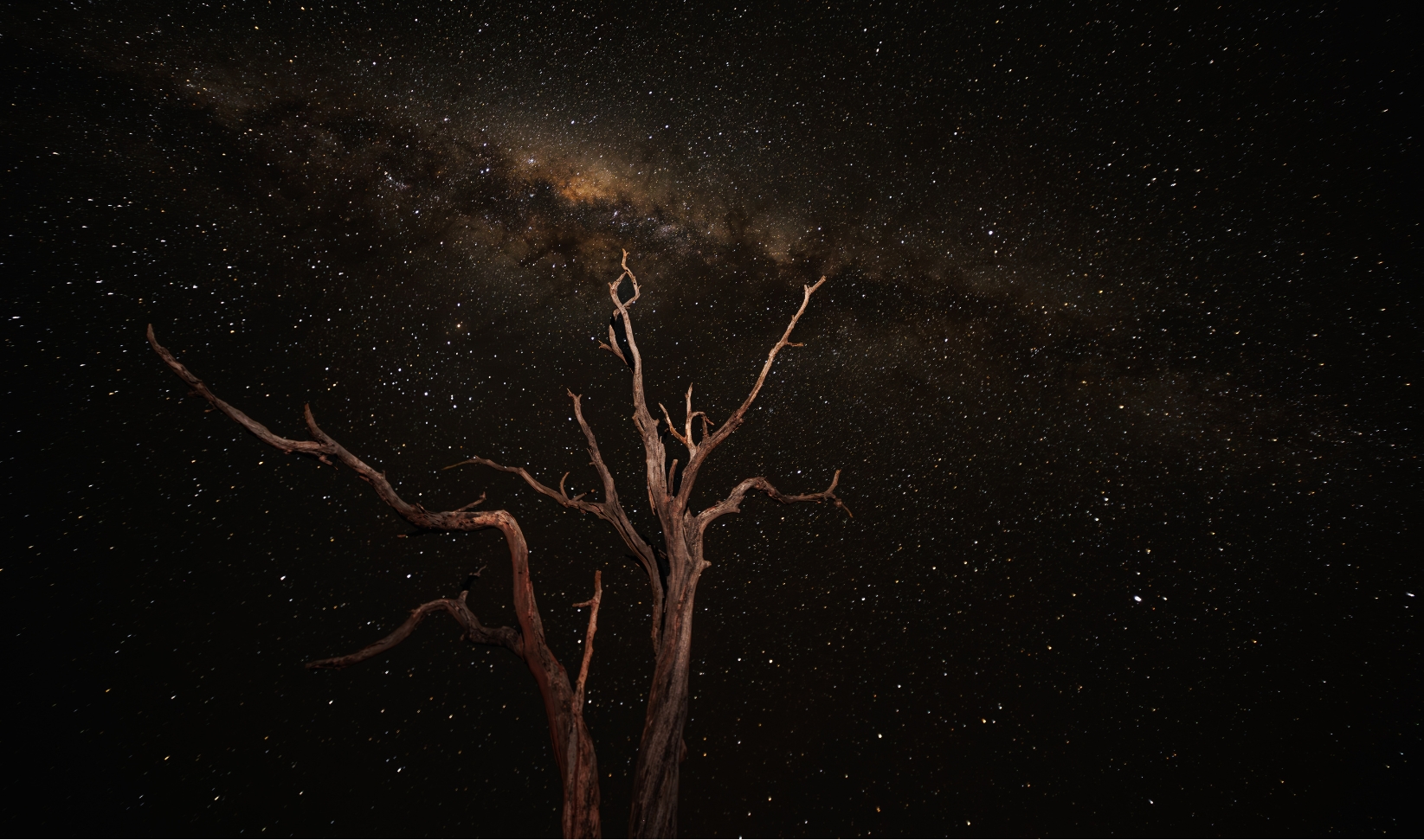 First Dark Sky Park in South Africa | DarkSky International
