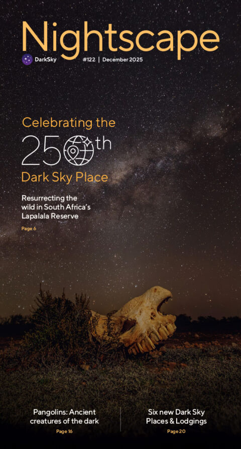 Nightscape | DarkSky International