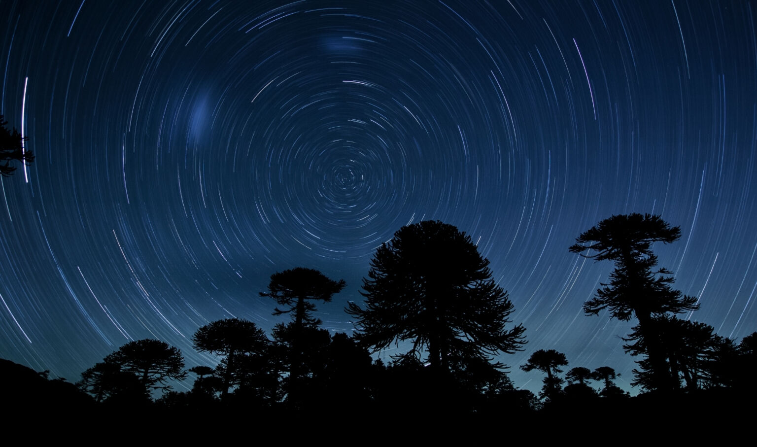IDSW: How to get involved! | DarkSky International